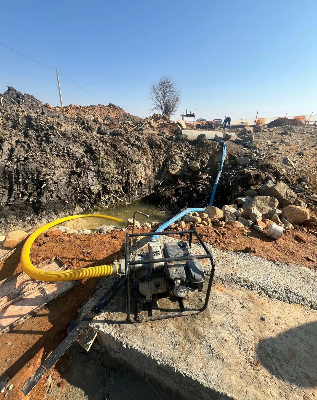 Service – Noni Mining